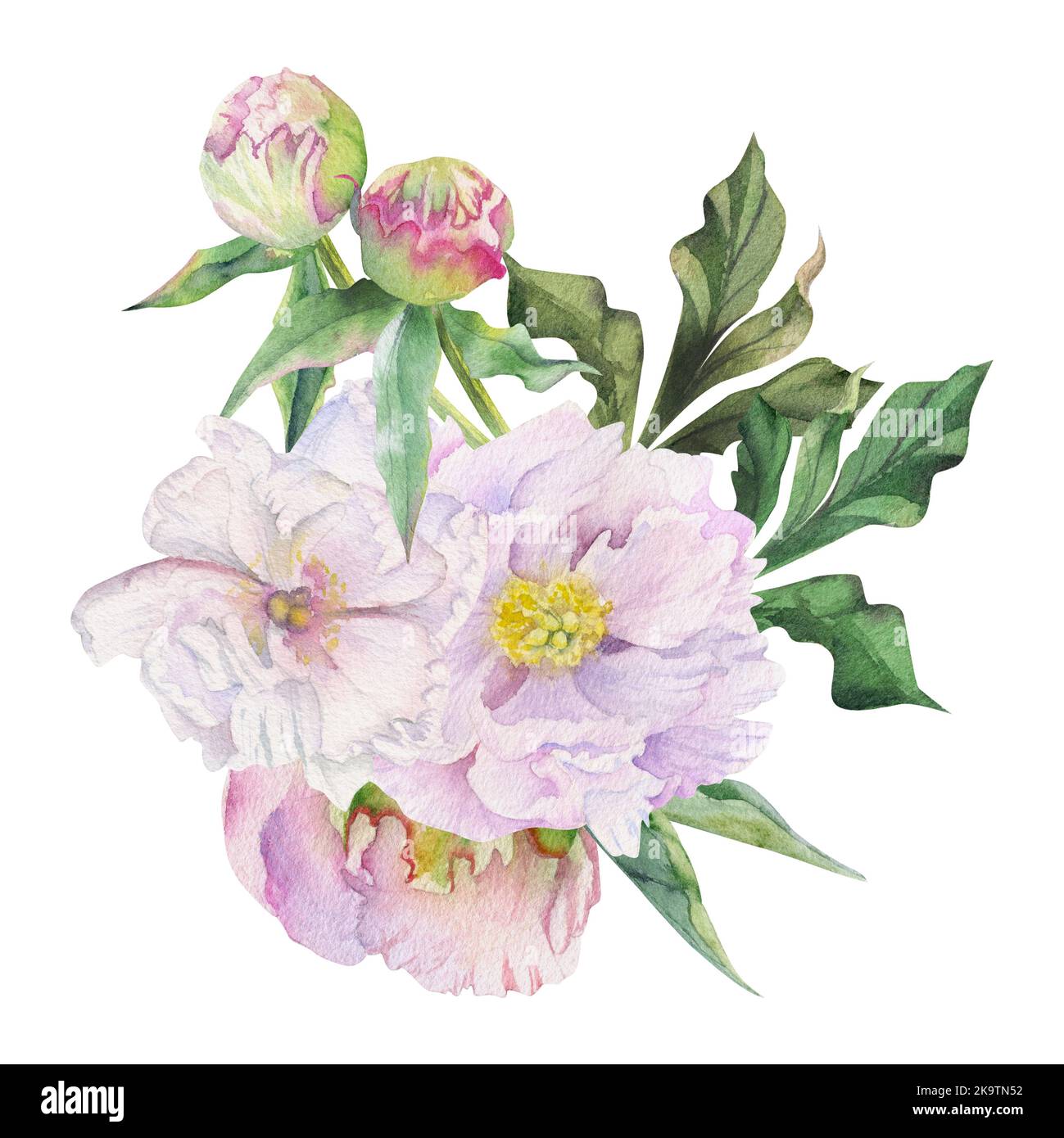 Watercolor bouquet arrangement with hand drawn delicate pink peony ...