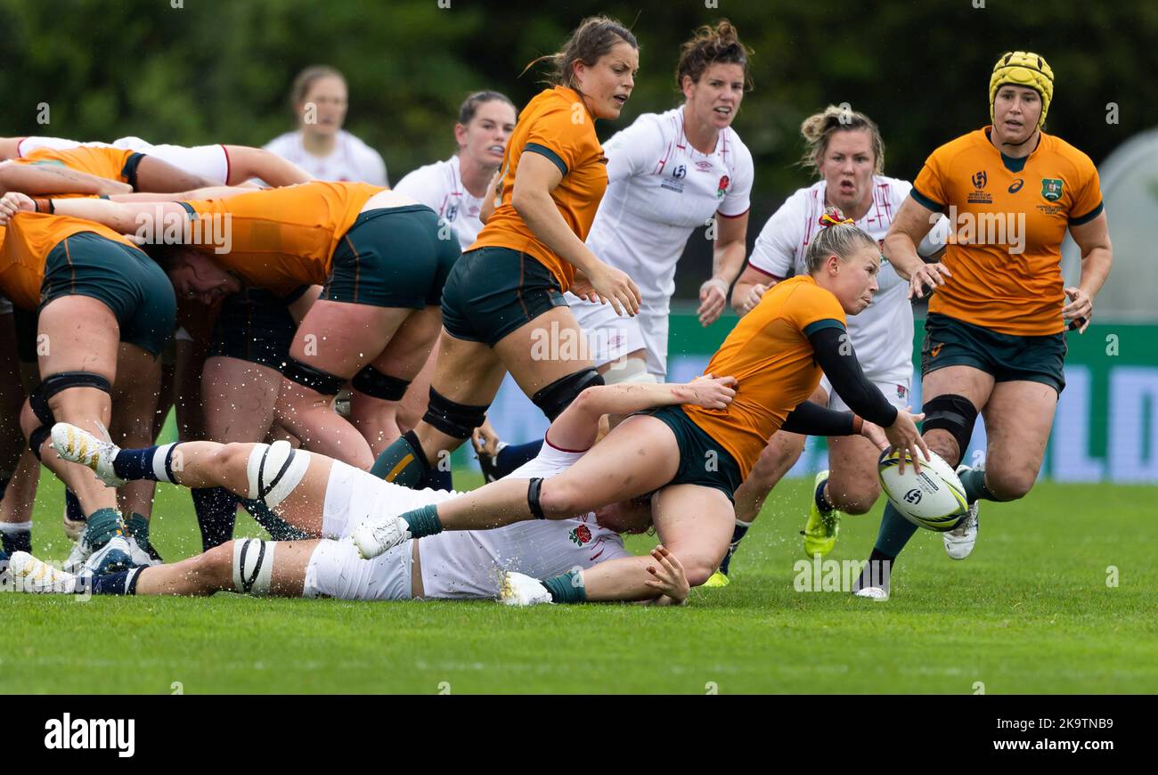 Layne morgan hi-res stock photography and images - Alamy