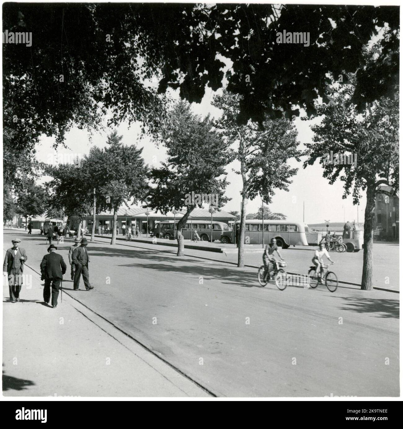 Sjs Cut Out Stock Images & Pictures - Alamy