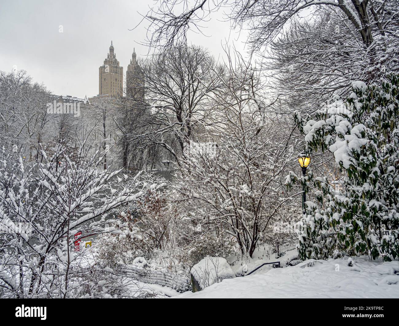 Central Park during snow storm in the early morning Stock Photo - Alamy