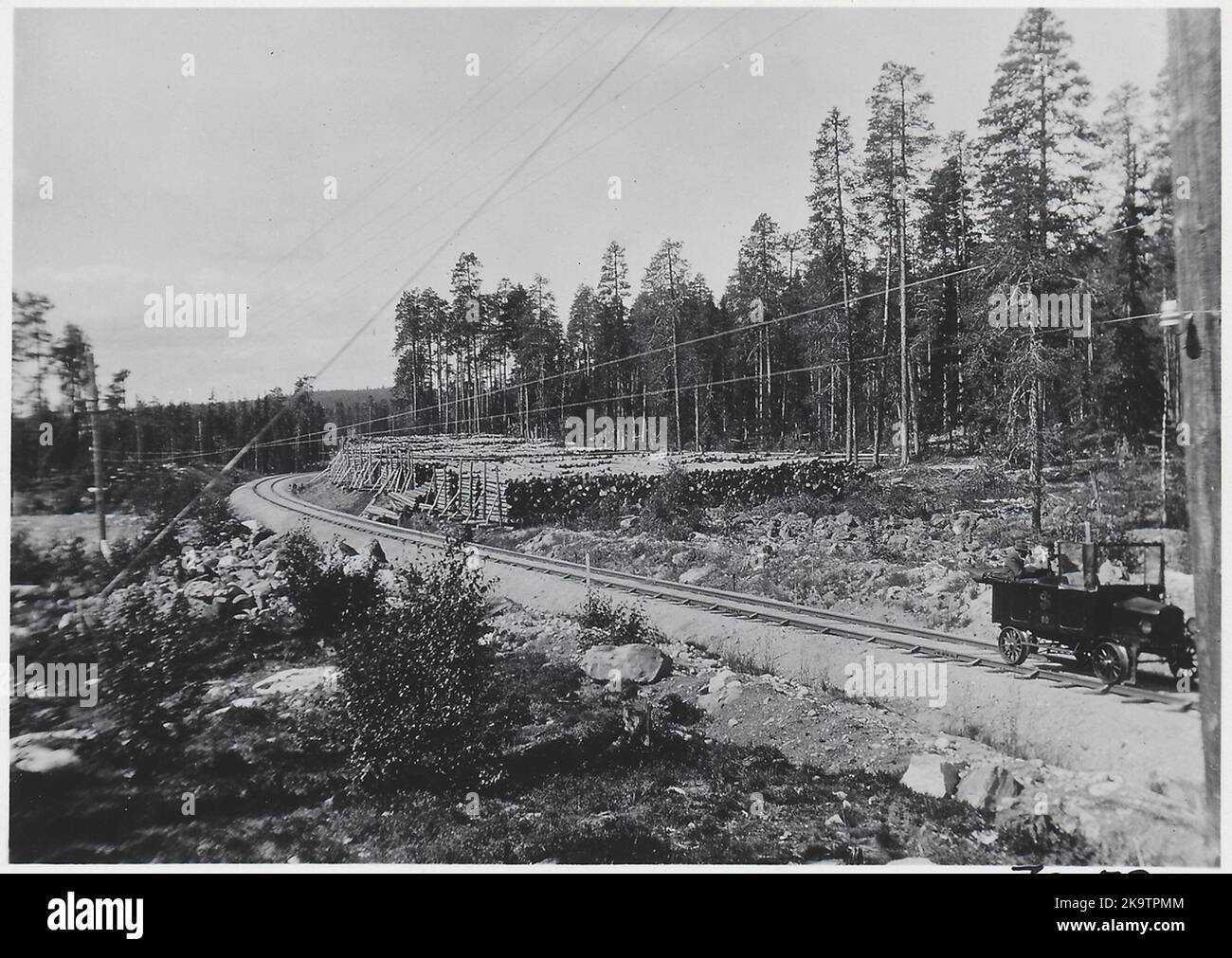 Edition of pulpwood near book Stock Photo - Alamy