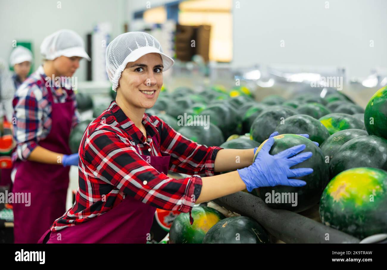 Women working in vegetable processing factory Stock Photo - Alamy