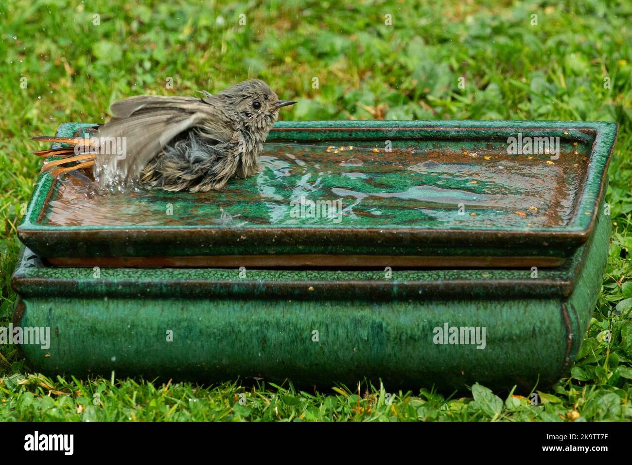 Water drop world hi-res stock photography and images - Alamy