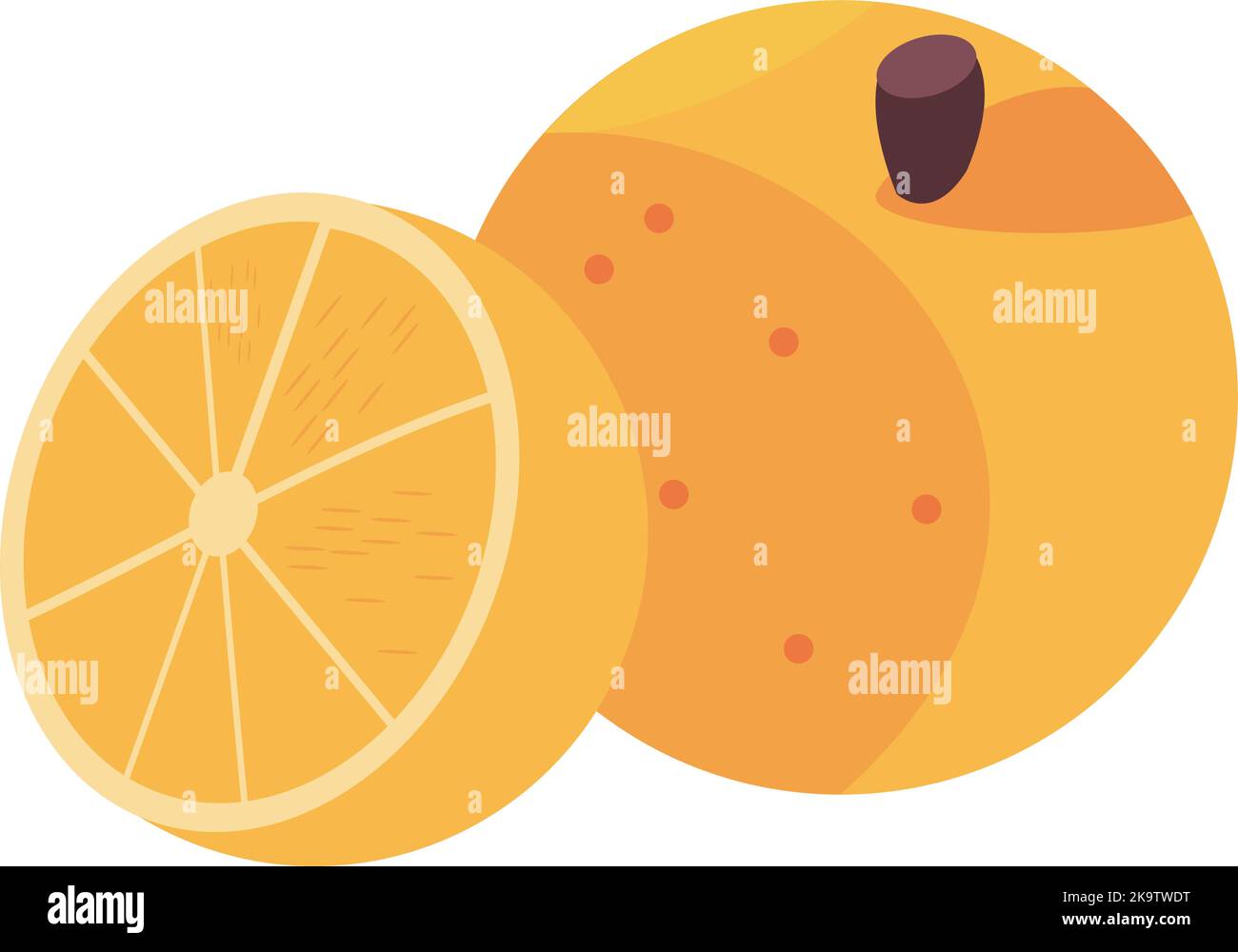 oranges citrus fruits Stock Vector Image & Art - Alamy