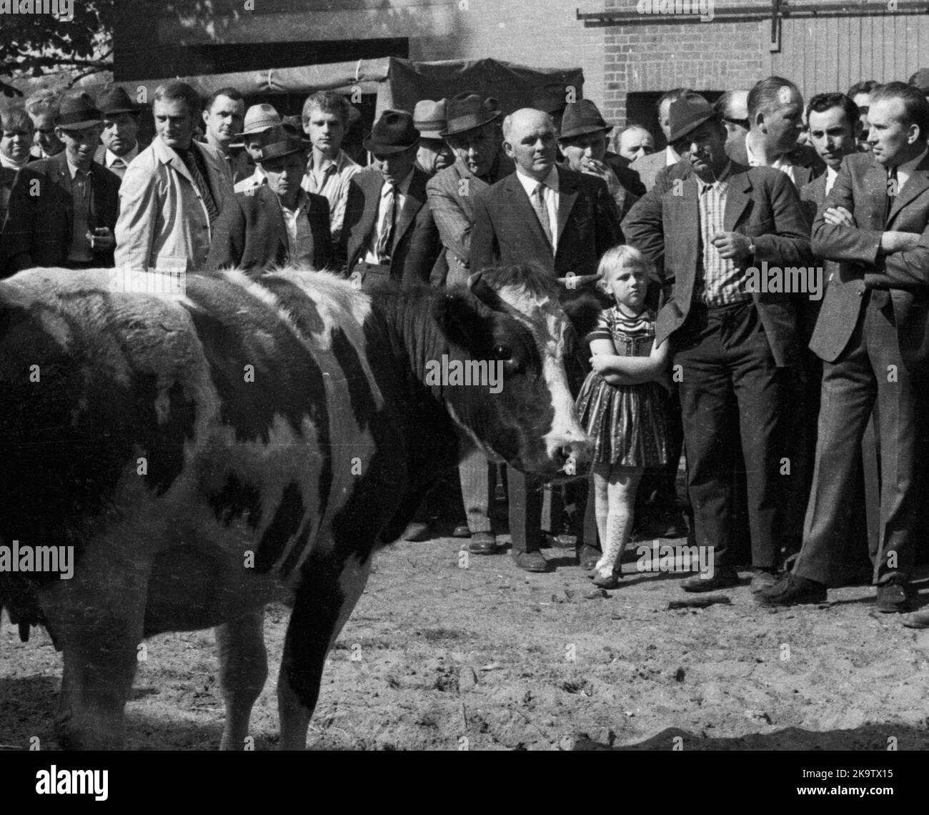 The auction of a bankrupt farm on 22. 09. 1971 in Greven in ...