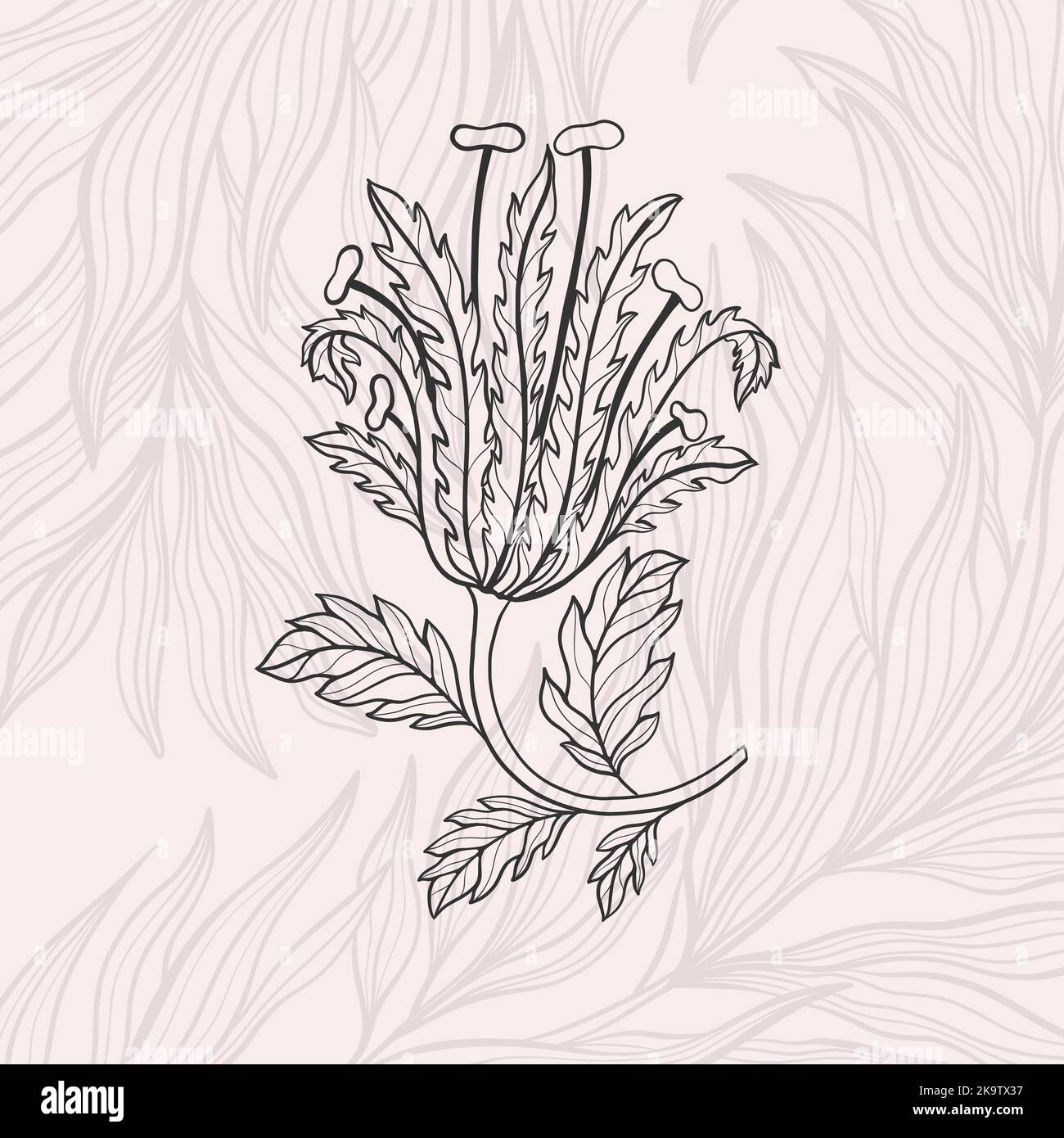 Flower line hand drawn style. One object vintage design. Elegant plant ...