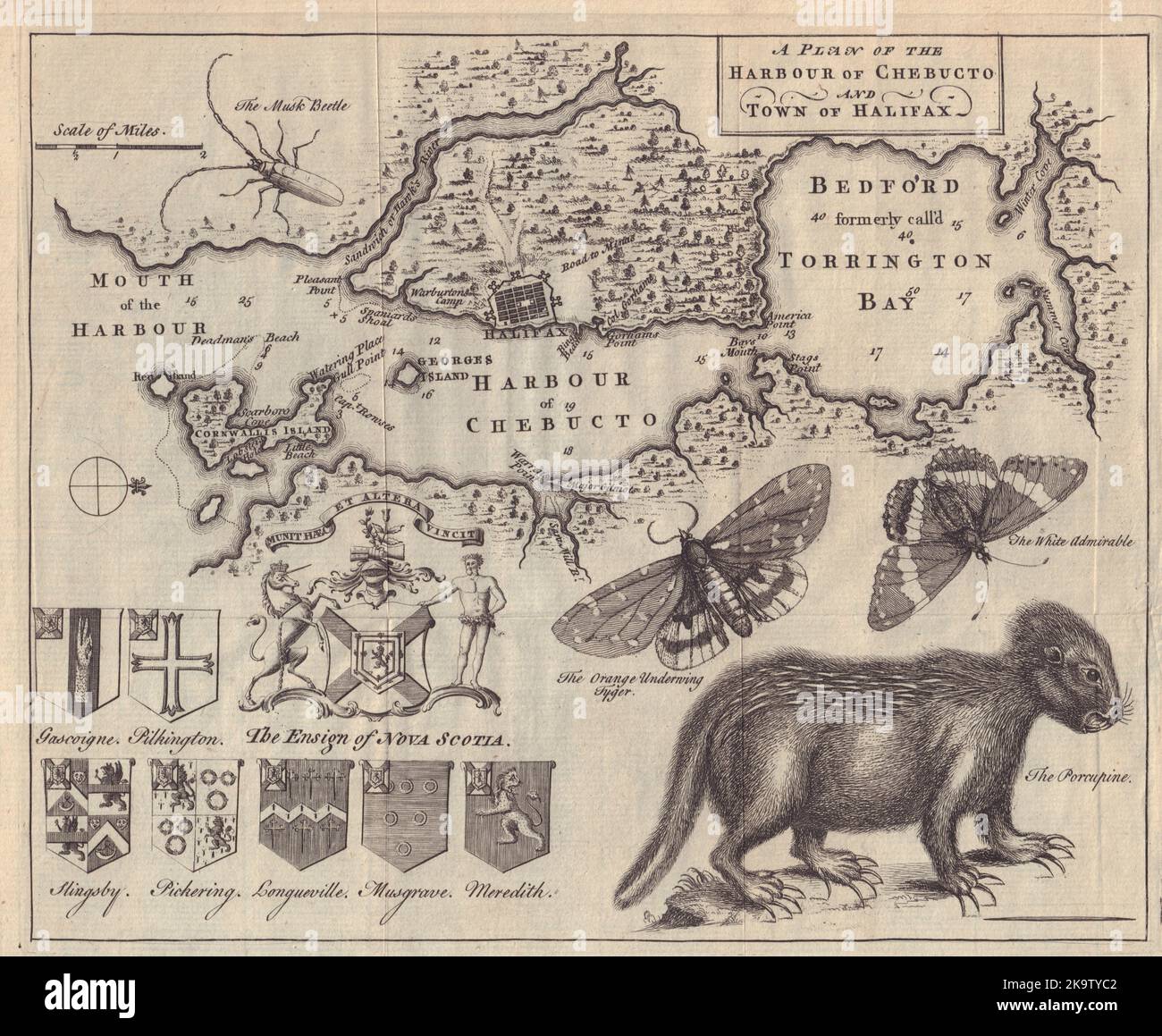 A Plan of the Harbour of Chebucto & Town of Halifax. Canada. GENTS MAG ...