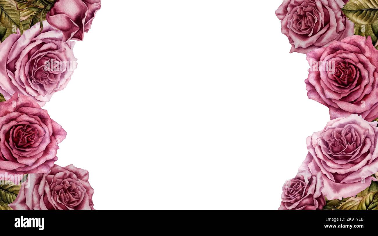 Rose borders hi-res stock photography and images - Alamy