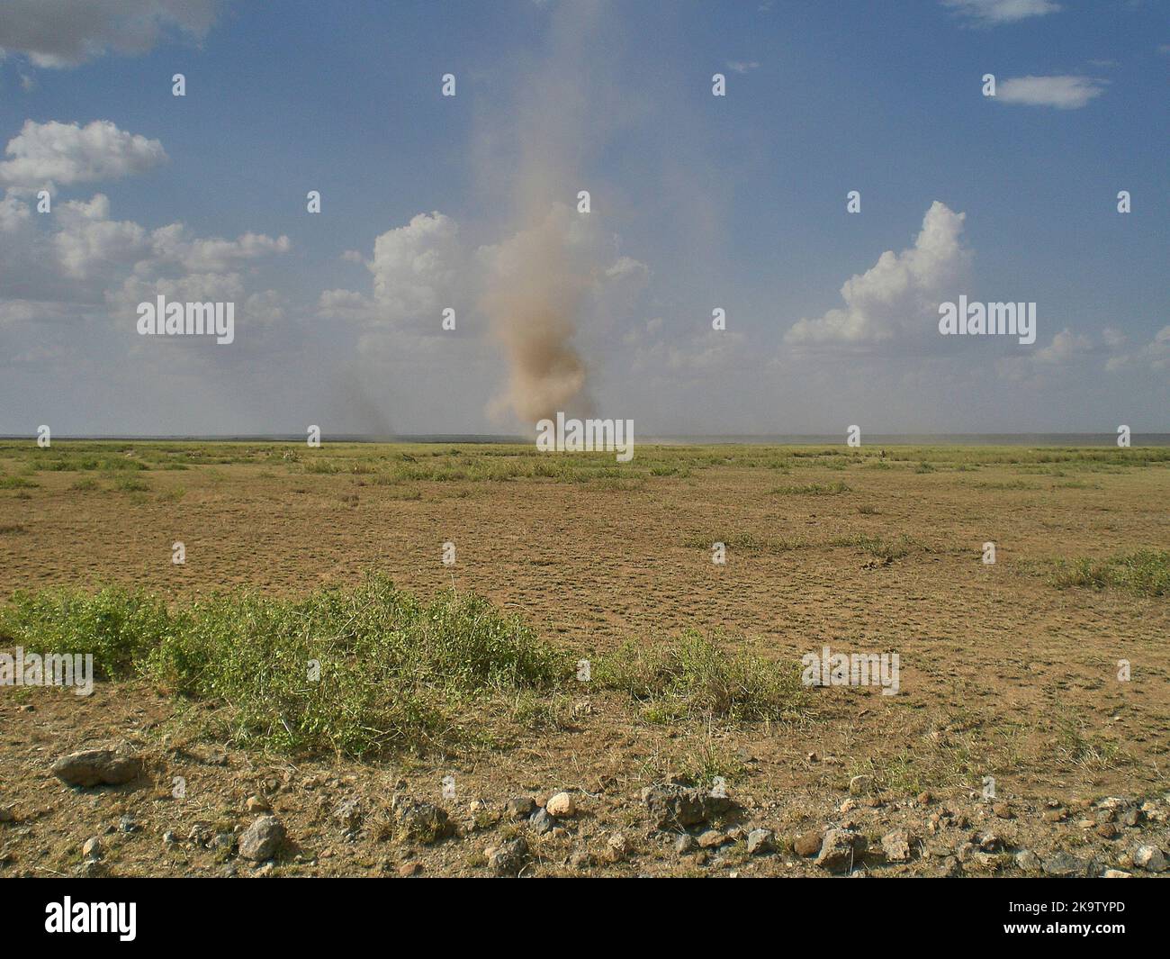 small dust devil tornado in the plains of amboseli national park in ...