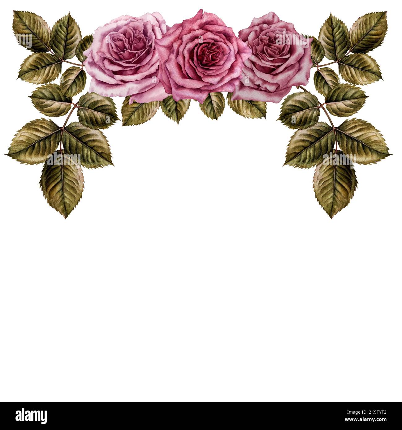 Vintage Pink Rose Border Clip Art Watercolor Eucalyptus, Roses