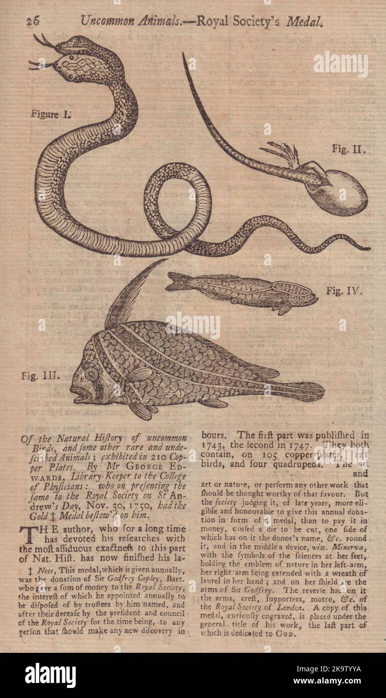 Double-headed snake. A Lizard in its Shell. Ribband Fish. Sucking Fish ...