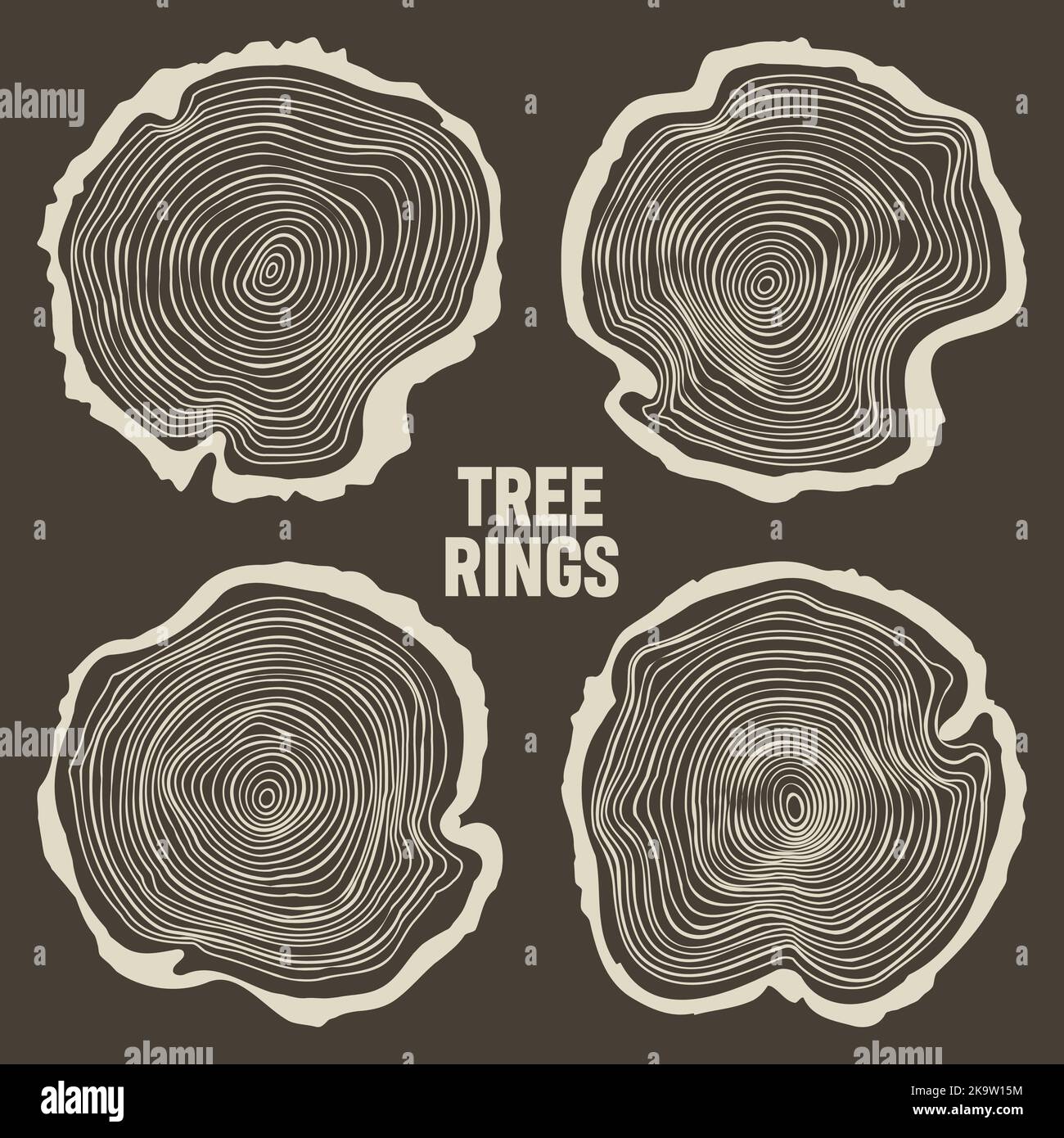 Round tree trunk cuts, sawn pine or oak slices, lumber. Saw cut timber ...