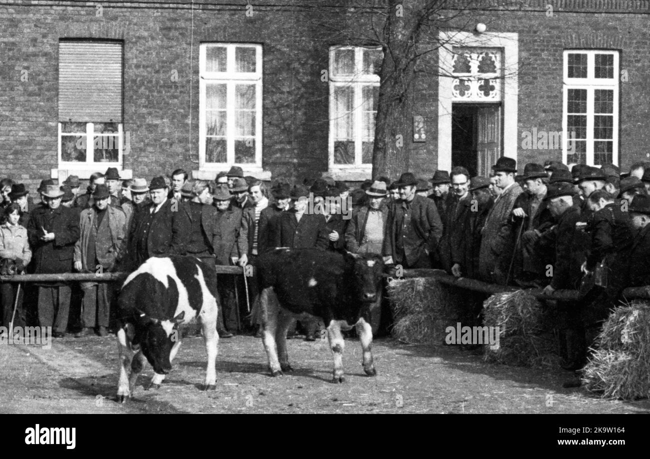 The auction of a farm on 2. 3. 1972 in the Muensterland in Ascheberg ...