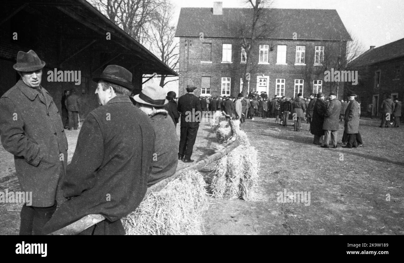 The auction of a farm on 2. 3. 1972 in the Muensterland in Ascheberg ...