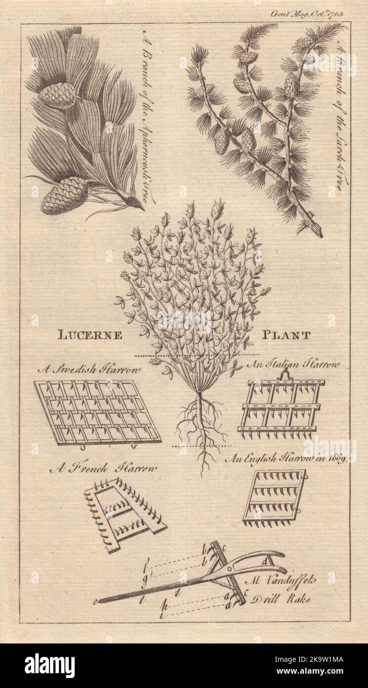 Aphernousli Pine-tree. Larch. Lucerne Plant. Harrows. Drill-rake 1765 ...