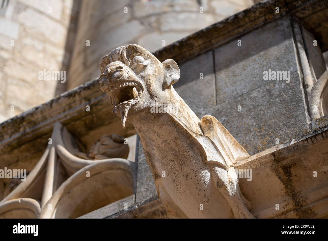 a stone gargoyle protrudes from a gothic church roof Stock Photo - Alamy