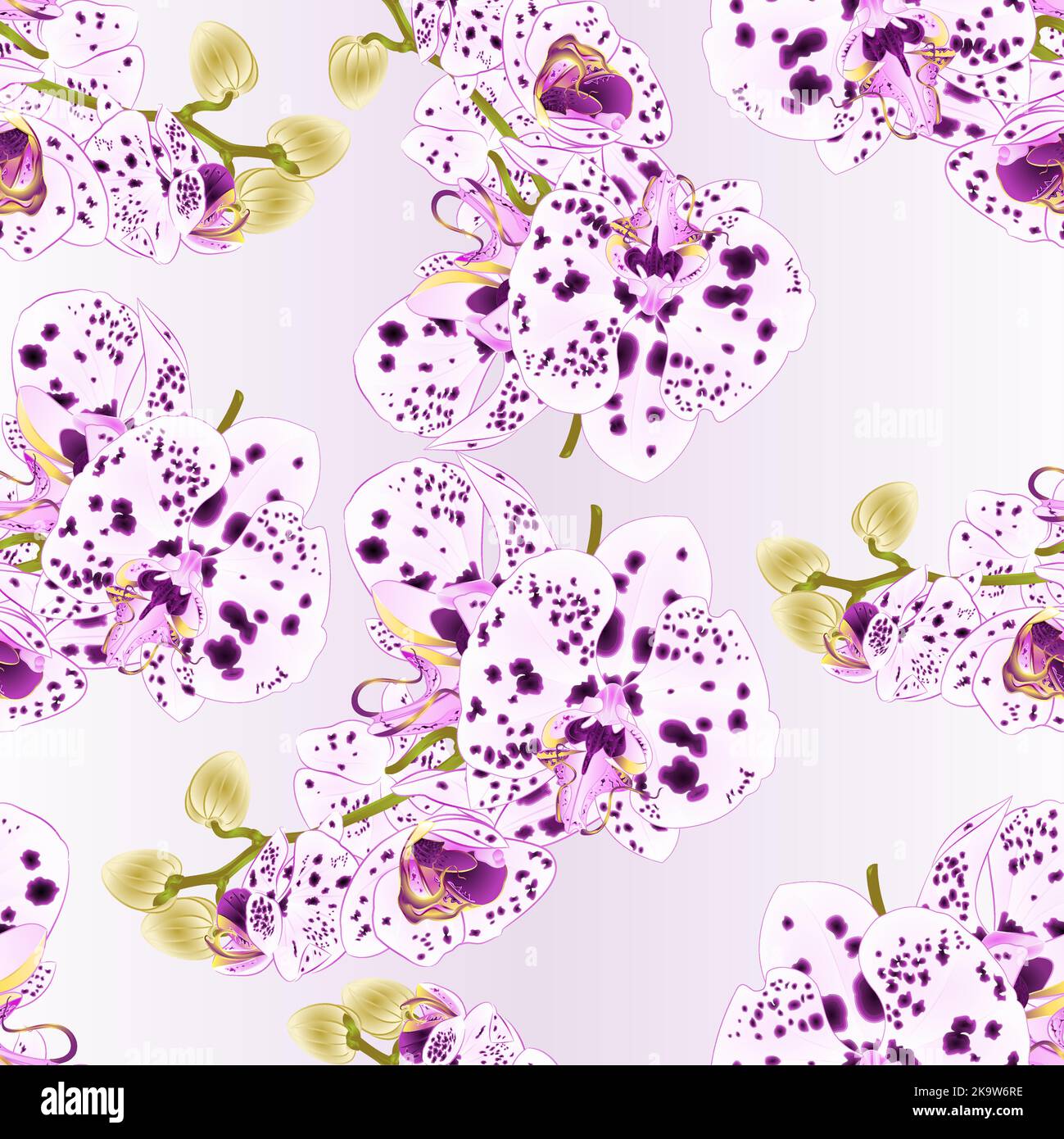Seamless Texture Stem With Flowers And Buds Beautiful Orchid Dots