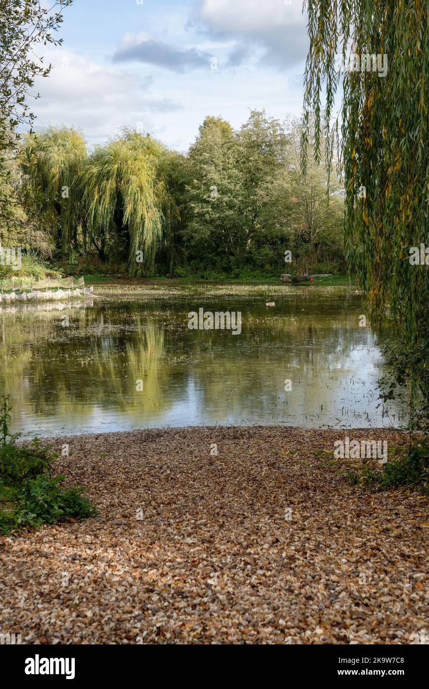 view of a lake with low drought related water level Stock Photo - Alamy