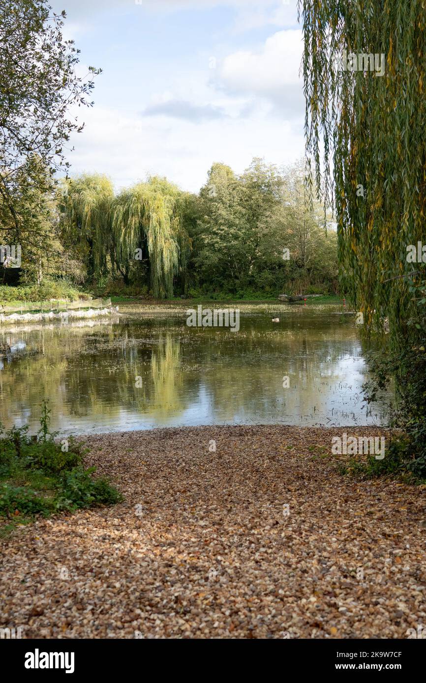 view of a lake with low drought related water level Stock Photo - Alamy