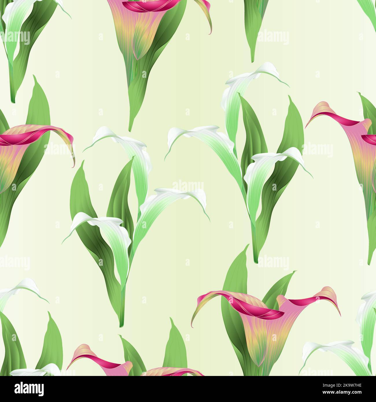 Seamless texture Calla lily white and pink flowers and leaves ...