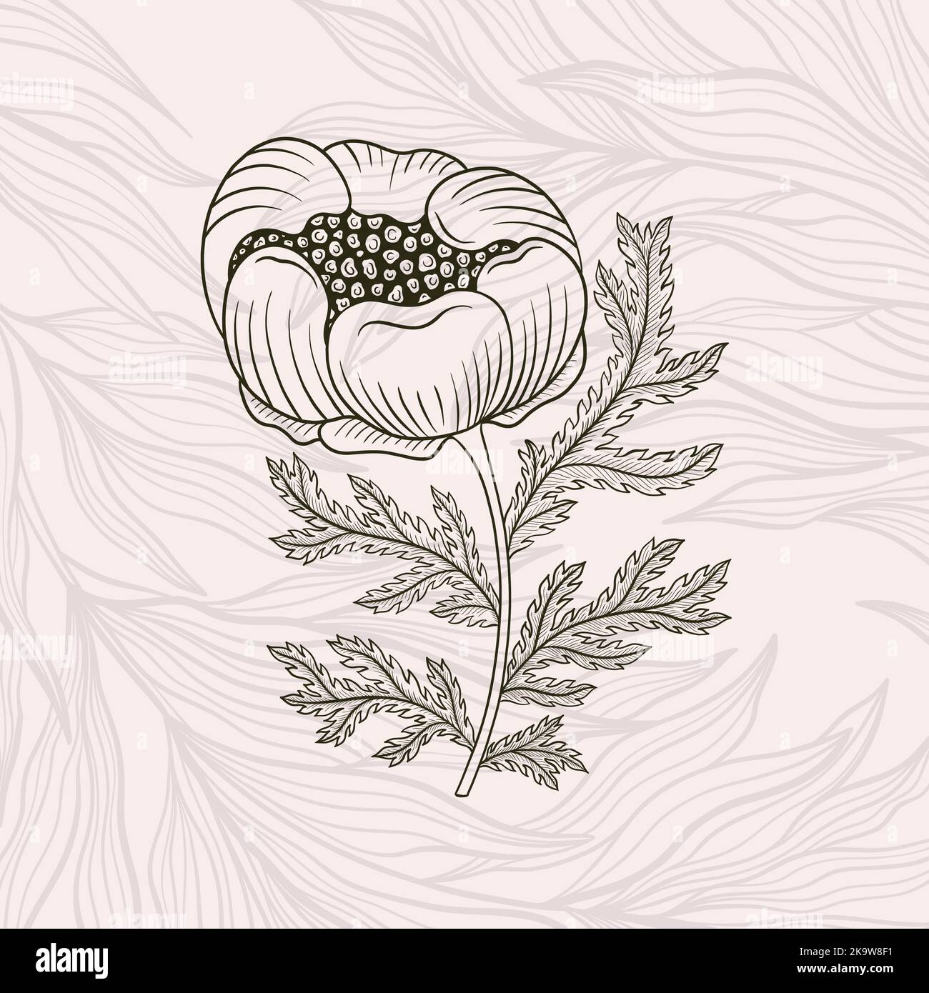 Flower line hand drawn style. One object vintage design. Elegant plant ...