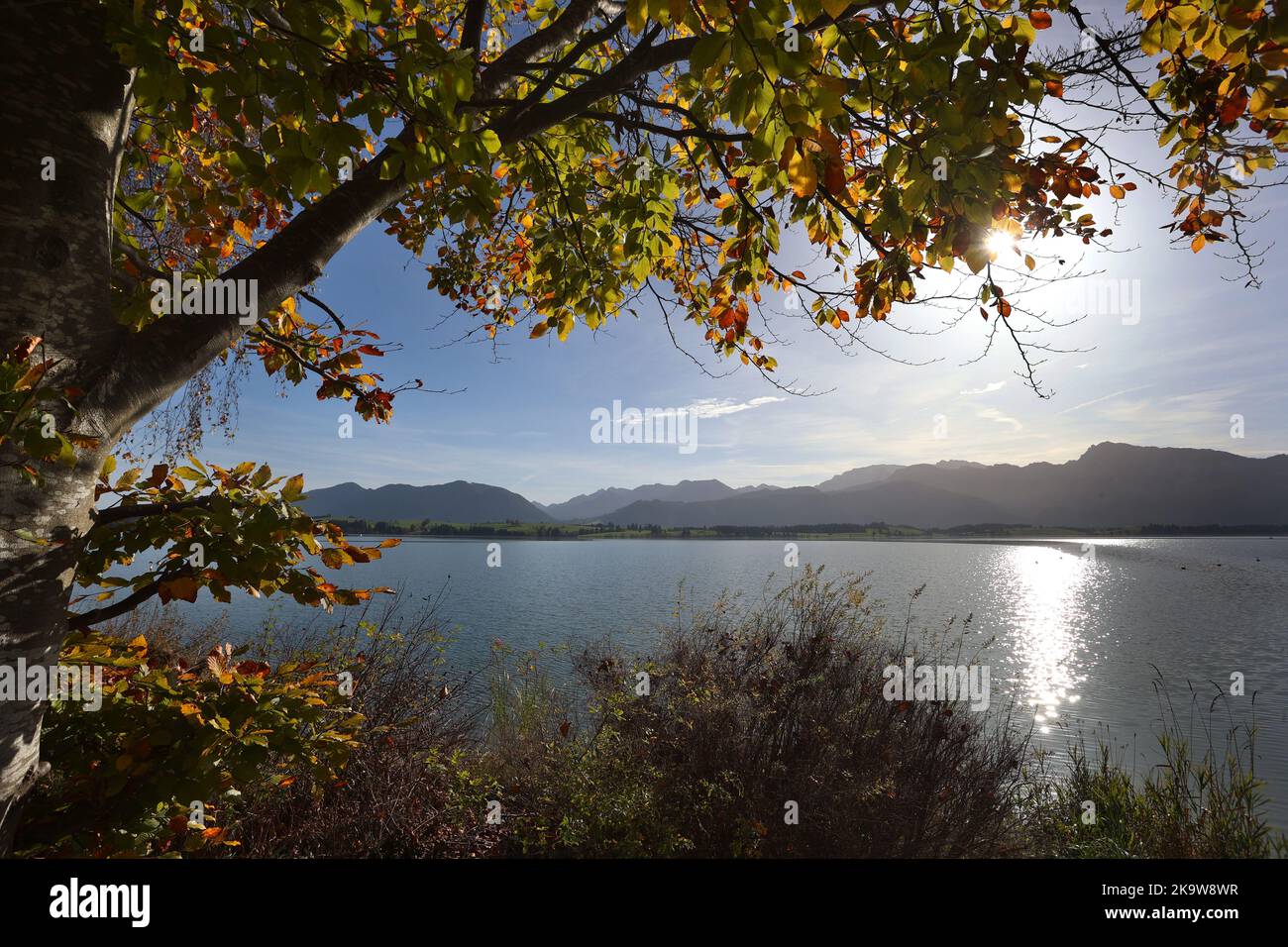 Behind lake forggensee hi-res stock photography and images - Alamy
