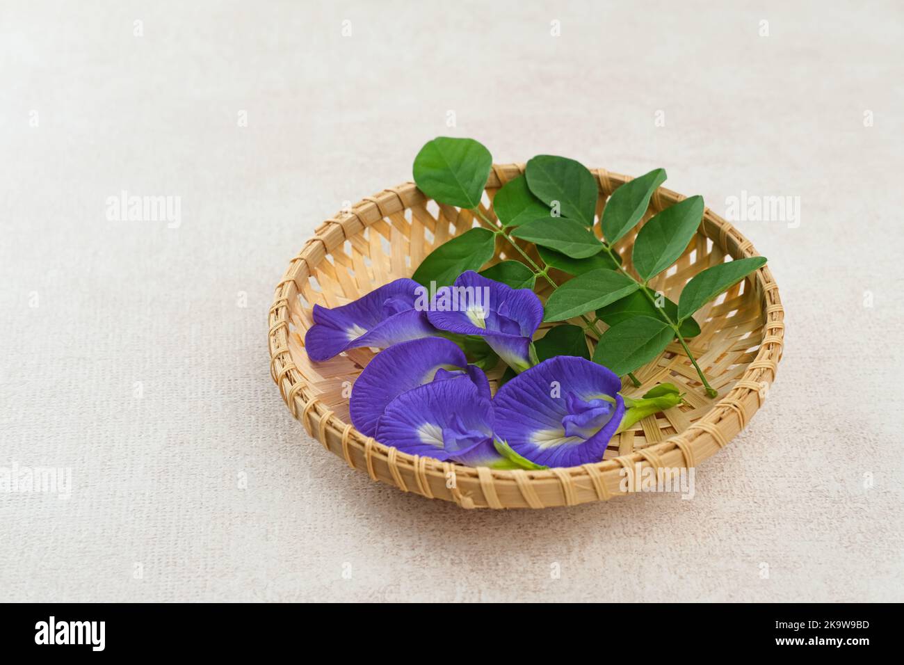 Telang flower hi-res stock photography and images - Alamy
