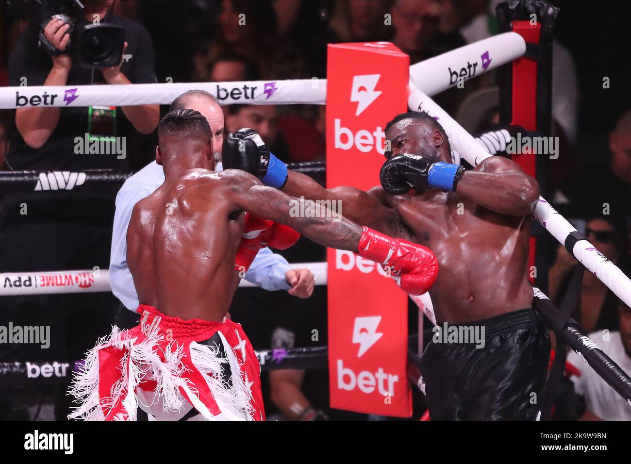 Hallvbell hi-res stock photography and images - Alamy