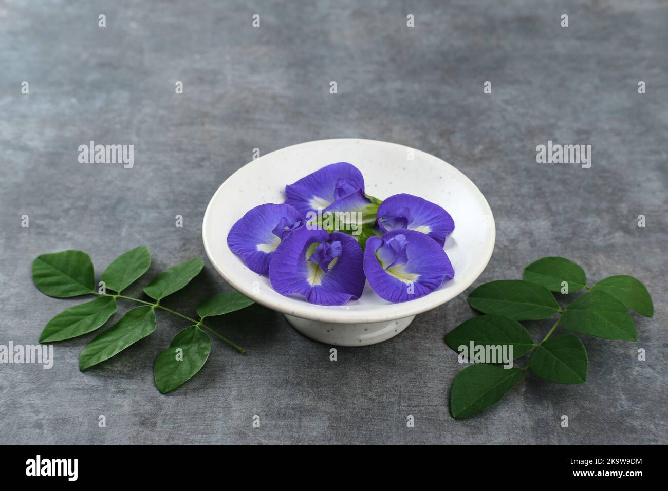 Telang flower, bunga Telang (Clitoria ternatea) is a vine that is ...