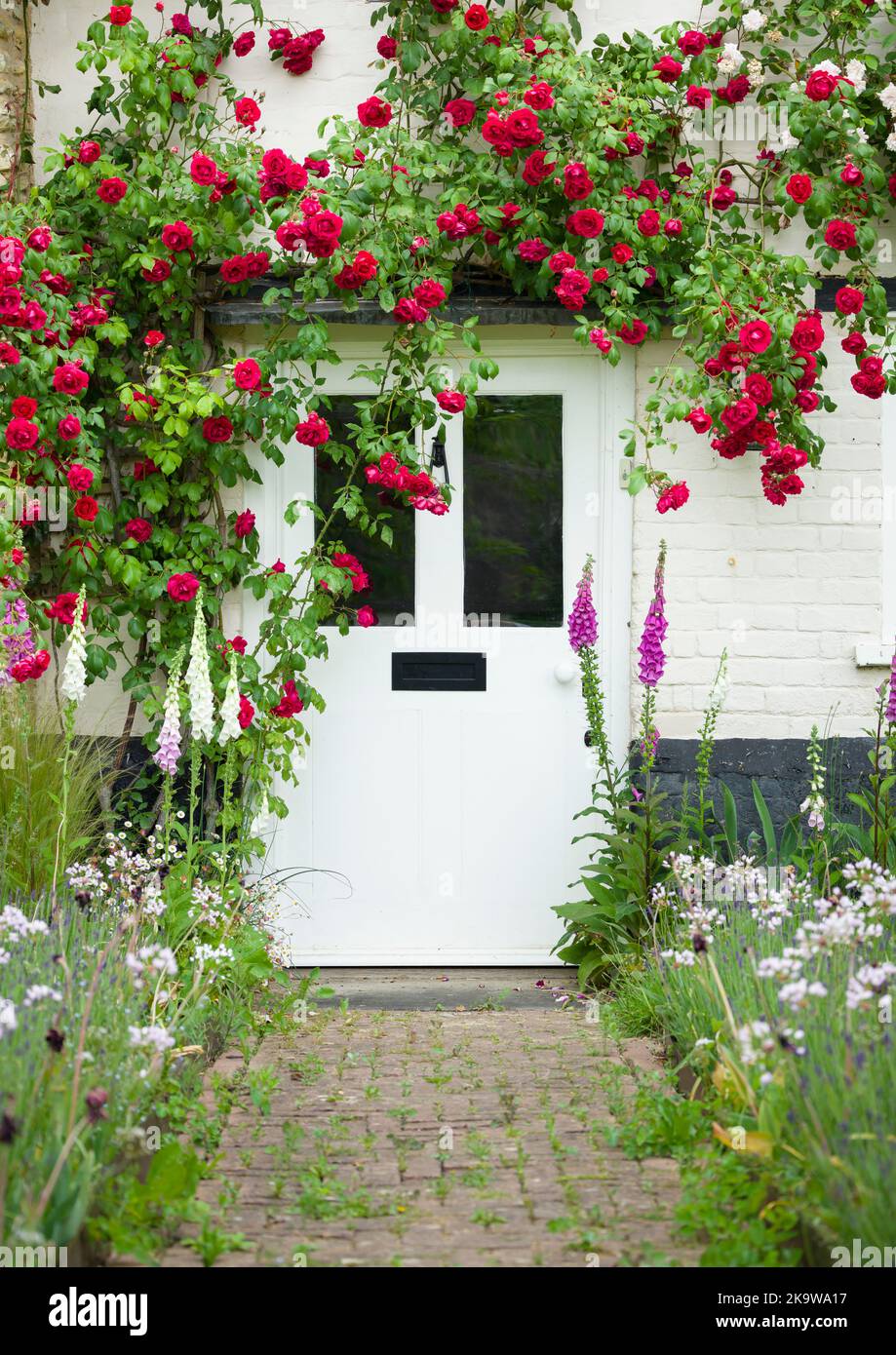 Climbing rose house hi-res stock photography and images - Alamy