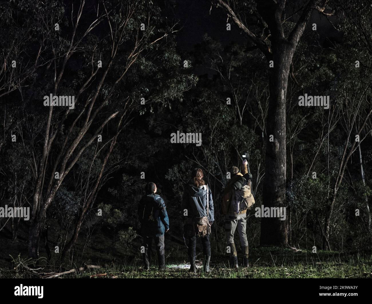 CARNIFEX (2022), directed by SEAN LAHIFF. Credit: Dancing Road ...