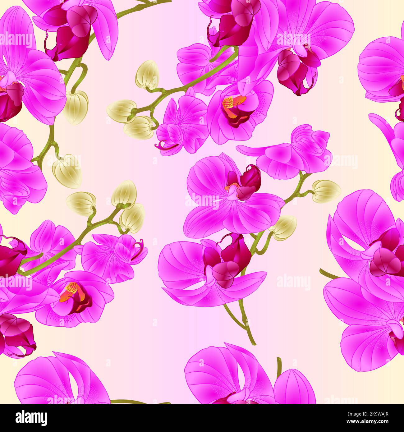 Seamless Texture Branches Orchids Purple Flowers Tropical Plant