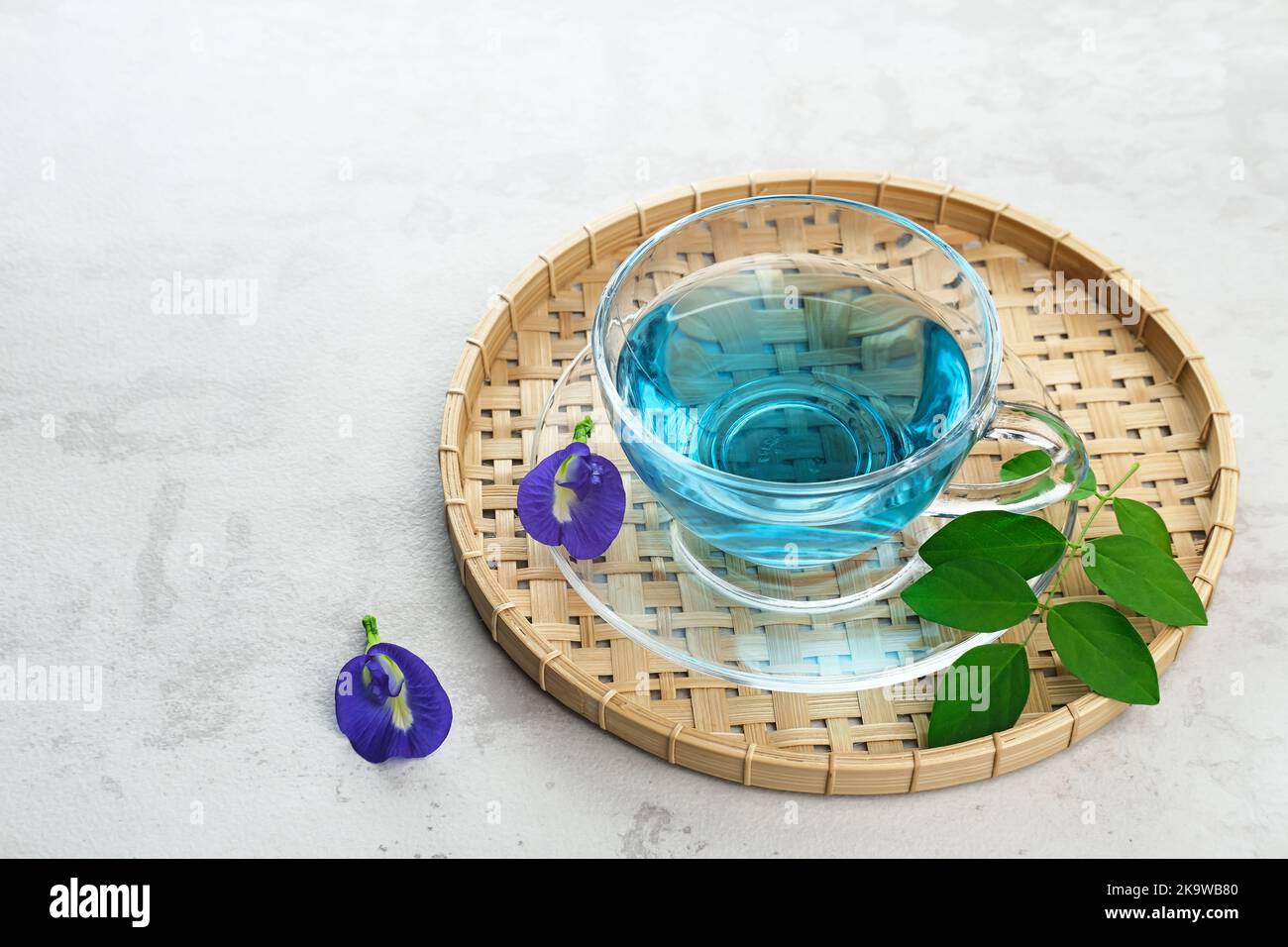 Teh Telang, Butterfly flower tea or Blue Tea is herbal tea made from ...