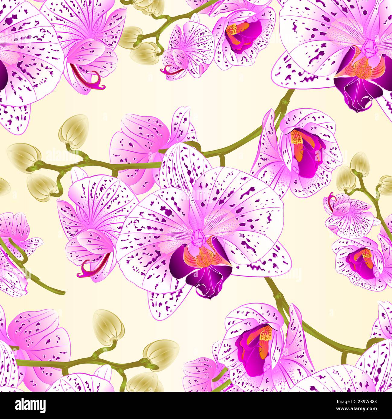 Seamless texture orchids flowers purple and white Phalaenopsis tropical ...