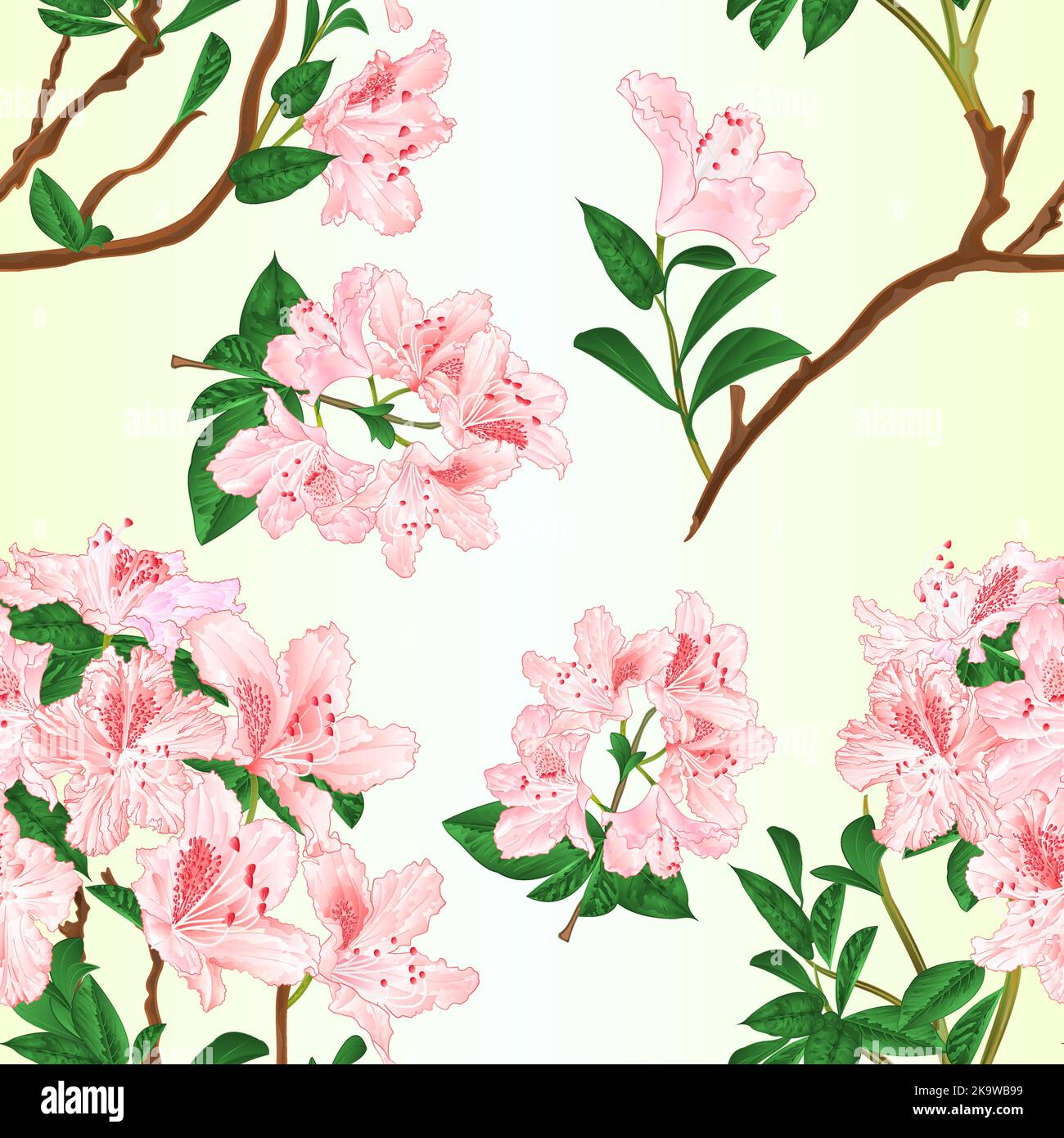 Seamless texture light pink rhododendron branch mountain shrub vintage ...