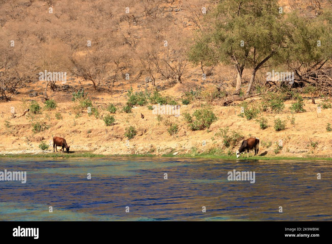 Wadi Dharbat or sometimes spelled Darbat, Salalah in Oman Stock Photo ...