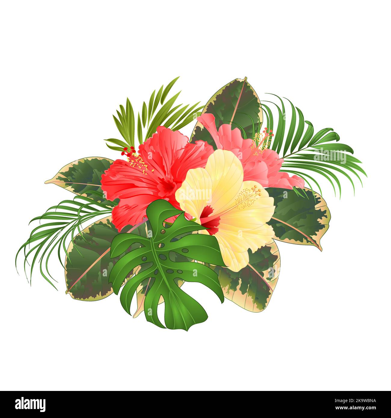 Hawaiian Hibiscus Arrangement Hibiscus Flowers Tropical Hibiscus