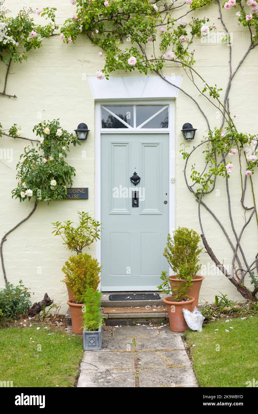 Front door uk plant hi-res stock photography and images - Alamy