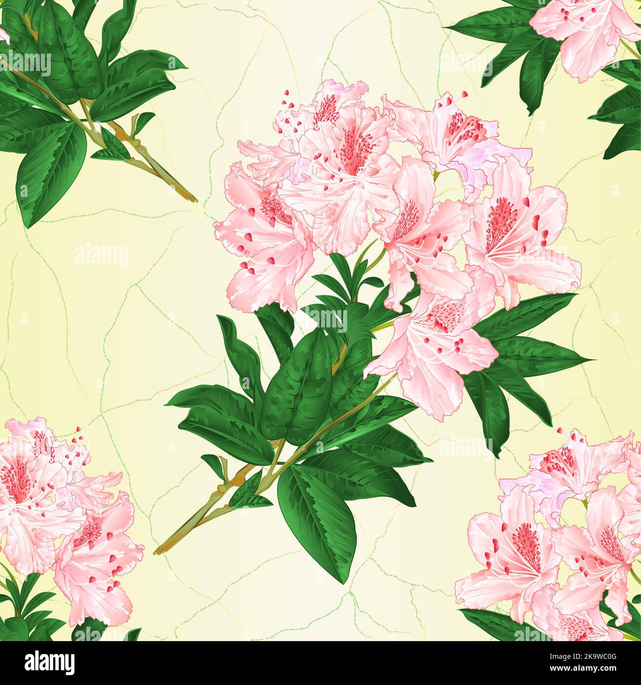 Seamless texture branch light pink flowers rhododendron mountain shrub ...