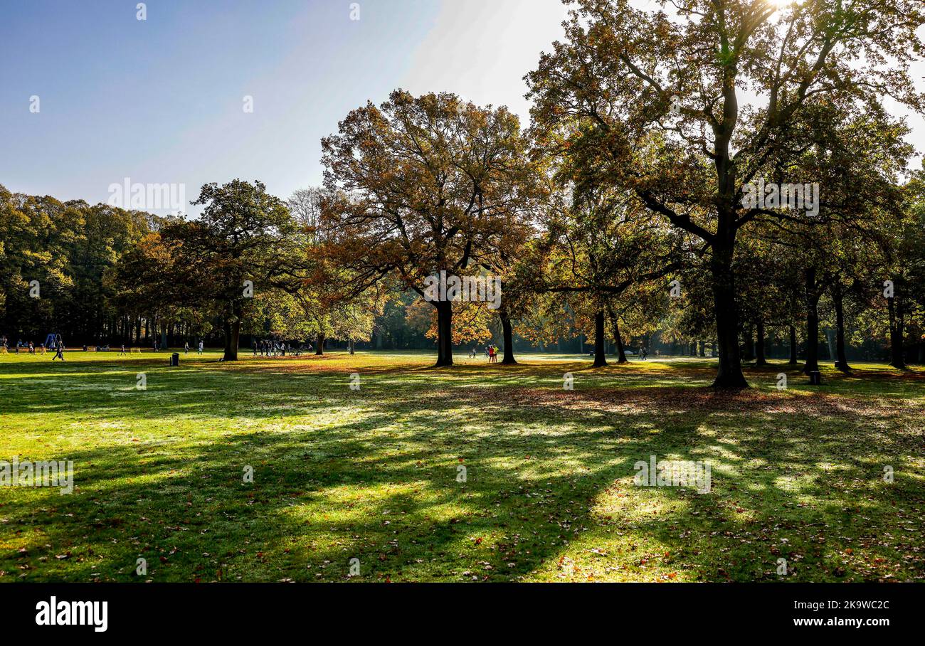 Hamburg, Germany. 30th Oct, 2022. Rays of sunlight shine through the ...