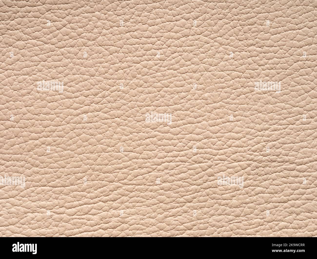 Beige leather texture. Background with copy space, top view. Genuine ...