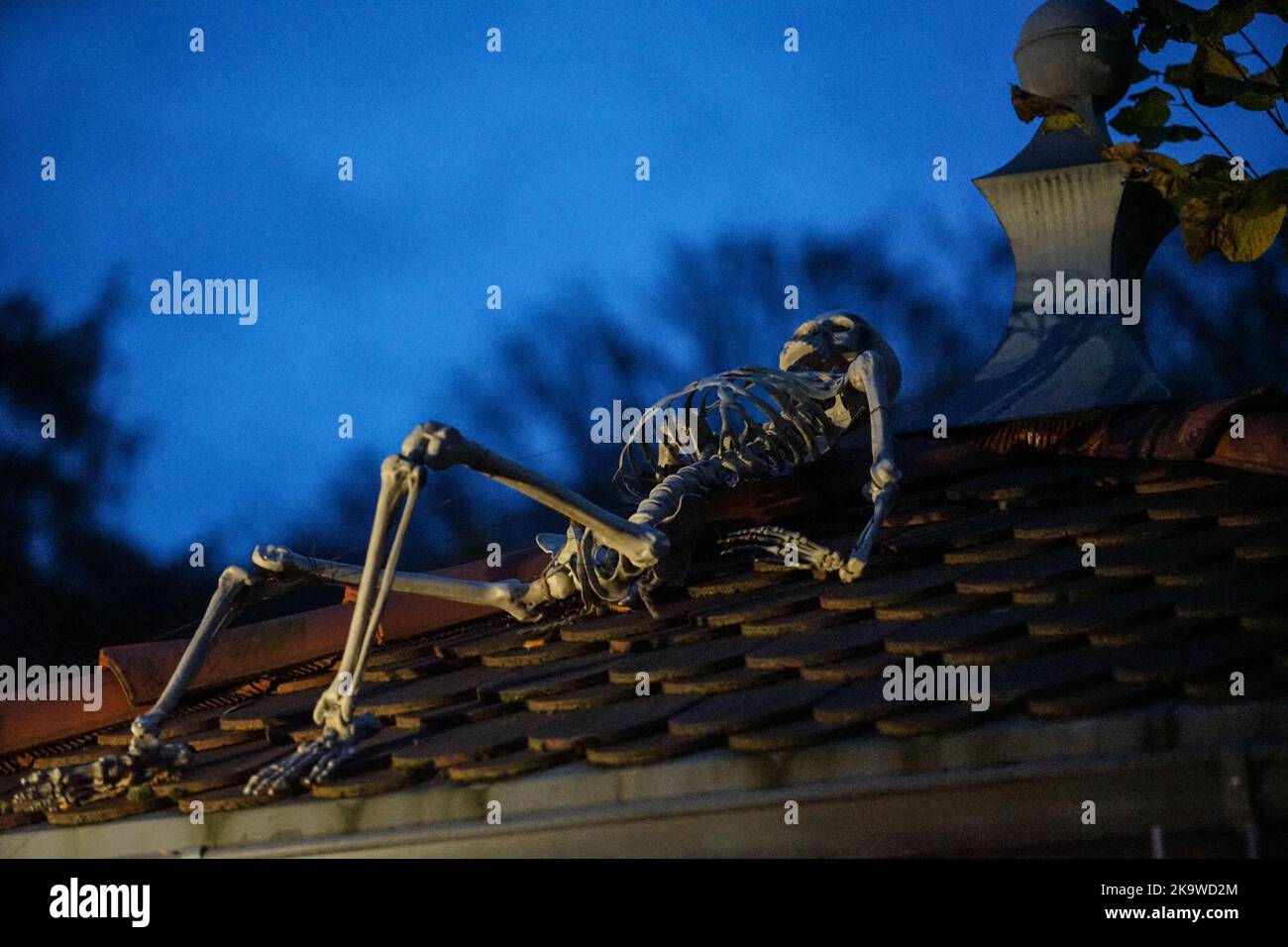 A house decorated with themes from the movie character of Freddy ...