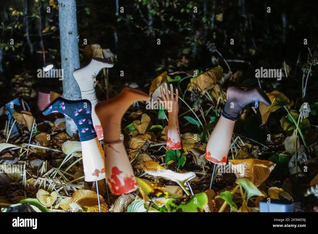 Gdansk, Poland. 29th Oct, 2022. A house decorated with themes from the ...