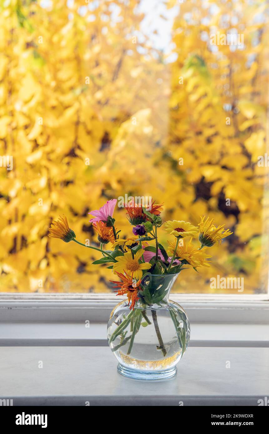 autumn from the window niche, photo: Bo Arrhed Stock Photo - Alamy