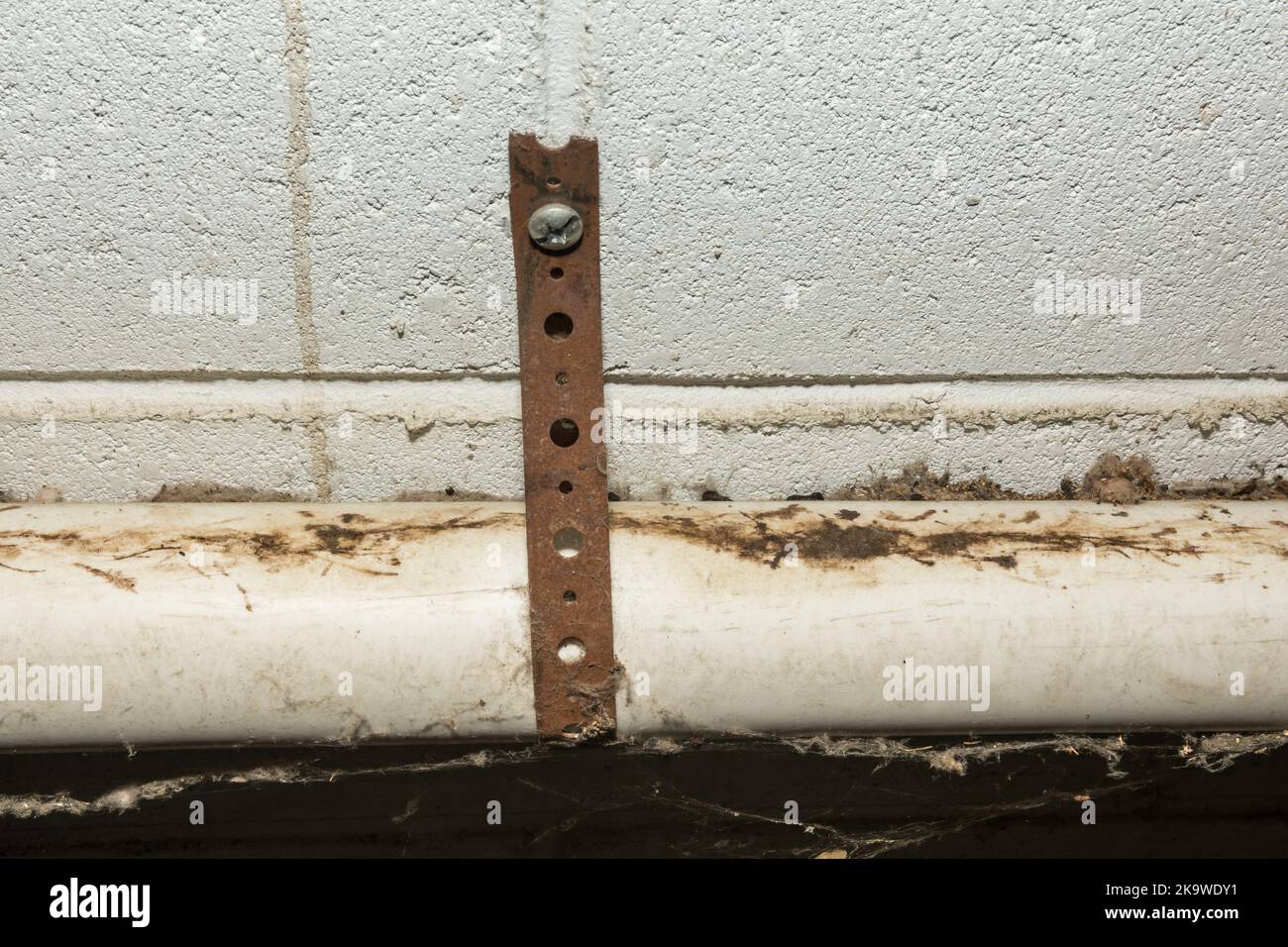 Rodent Rub Marks in a Basement Stock Photo - Alamy