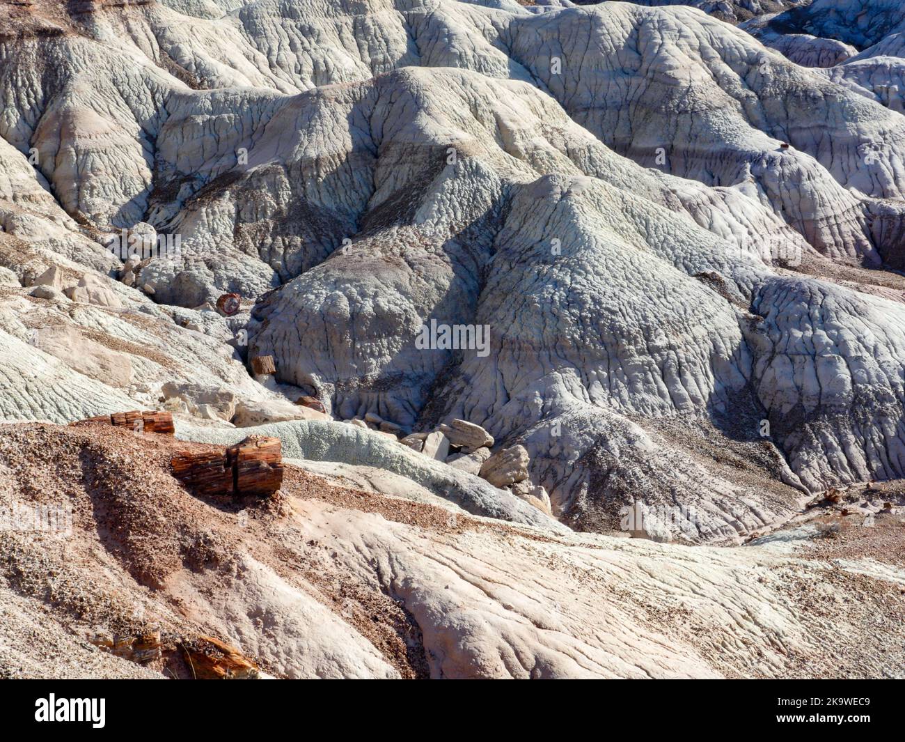 Painted Desert National Park badlands from Main Park Road Stock Photo ...