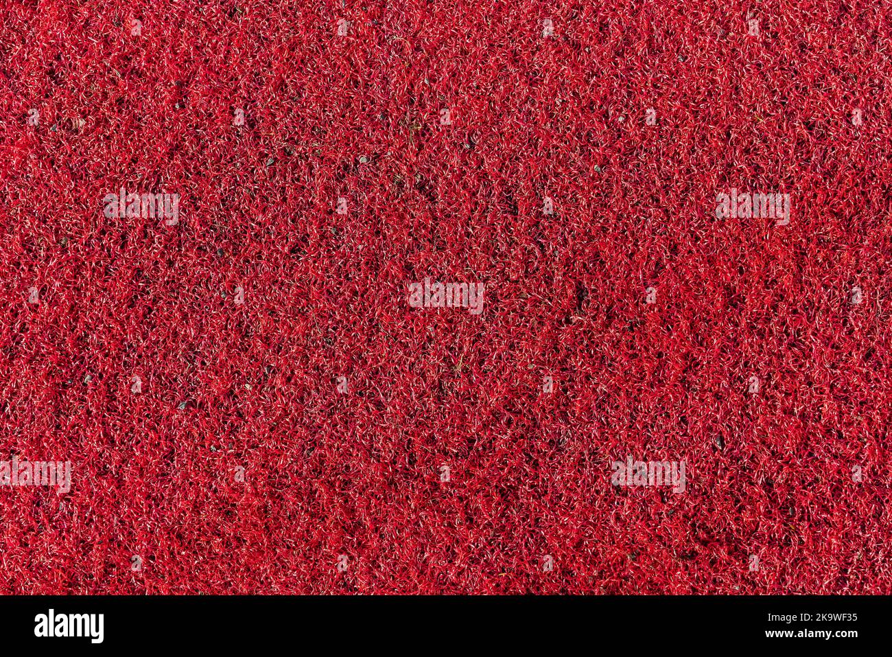 Red plastic synthetic artificial grass background texture which is used ...