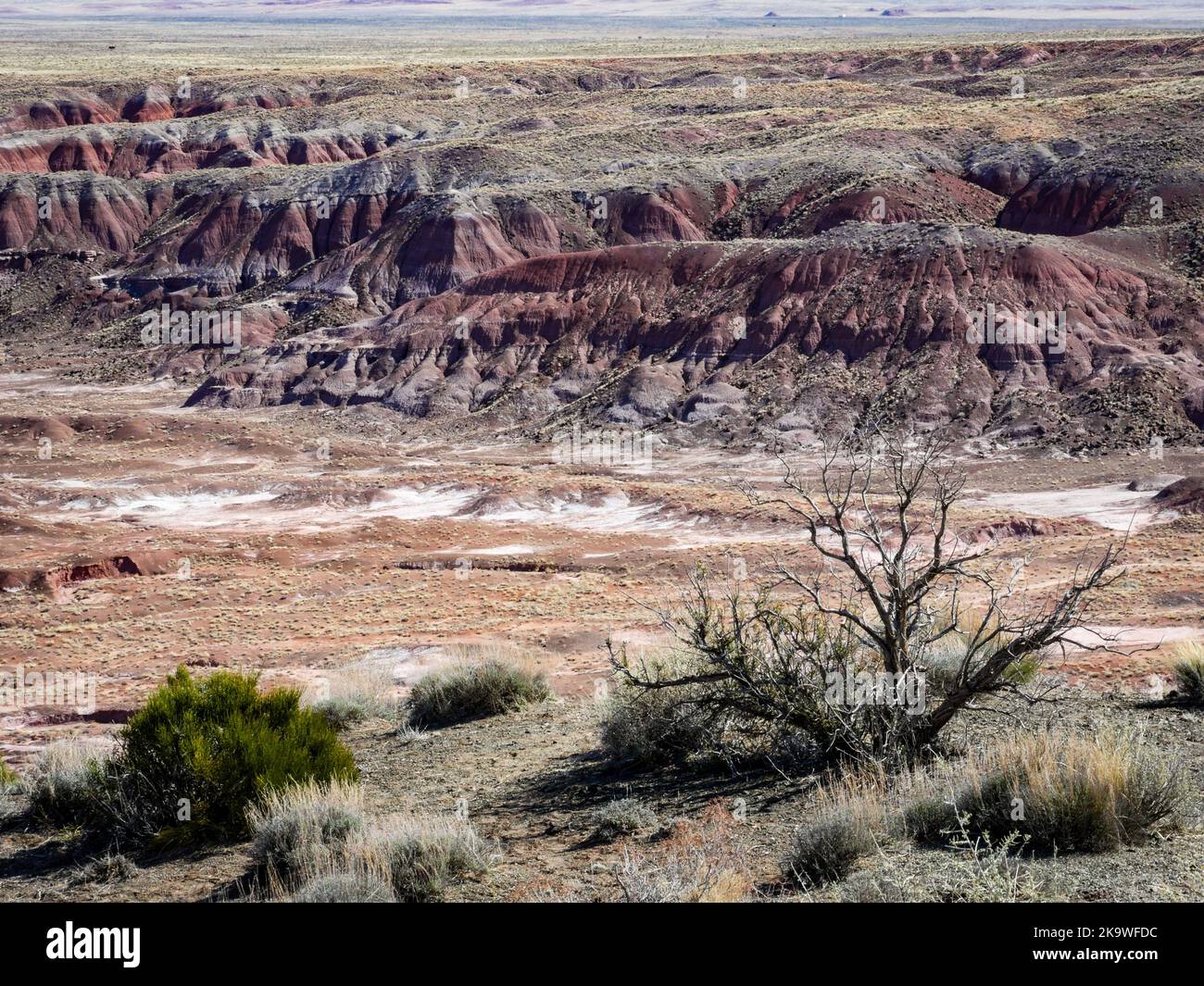 Painted Desert National Park badlands from Main Park Road Stock Photo ...