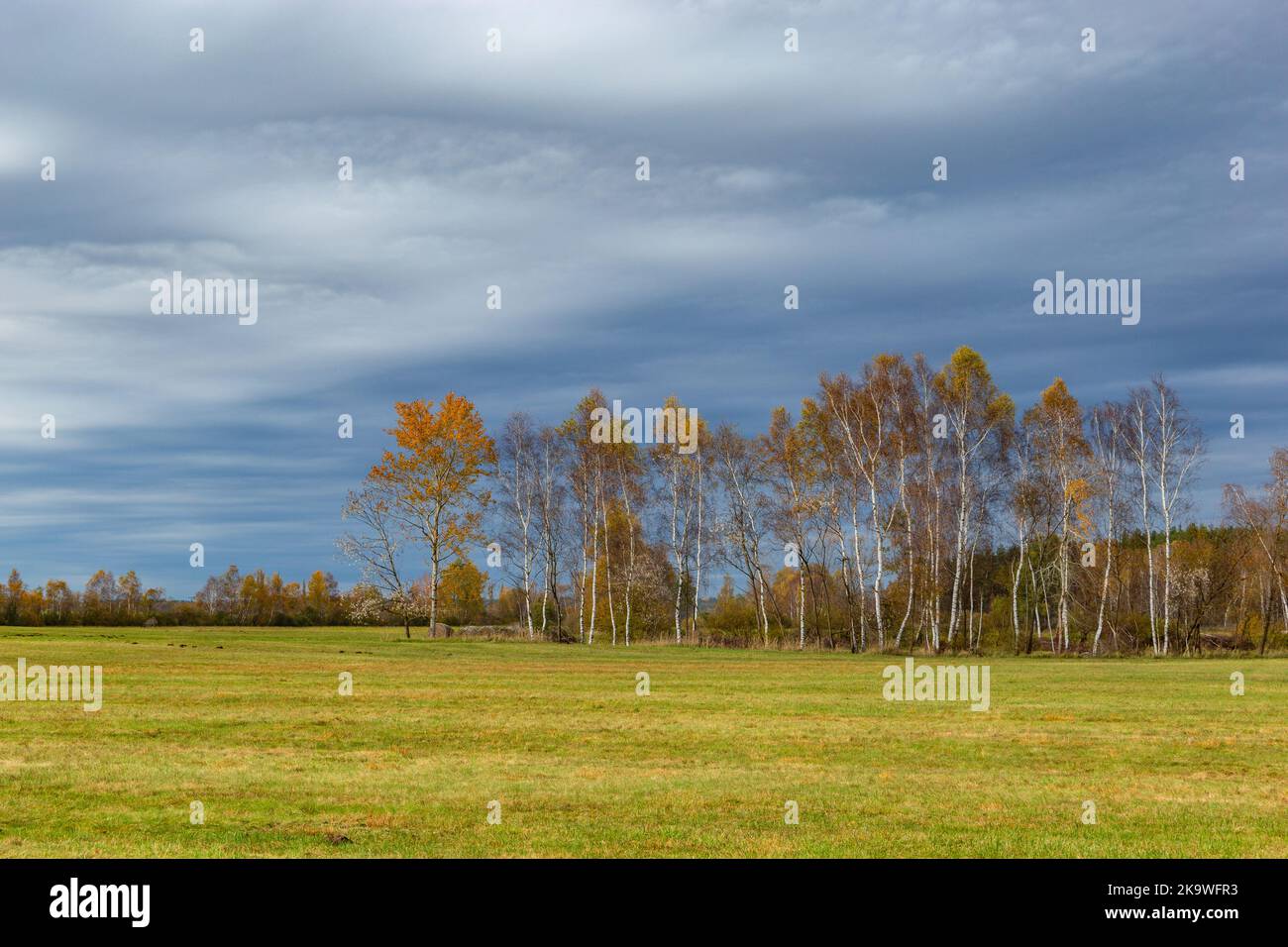 Fields and forests in cloudy, autumn weather. Late fall. Europe Stock ...