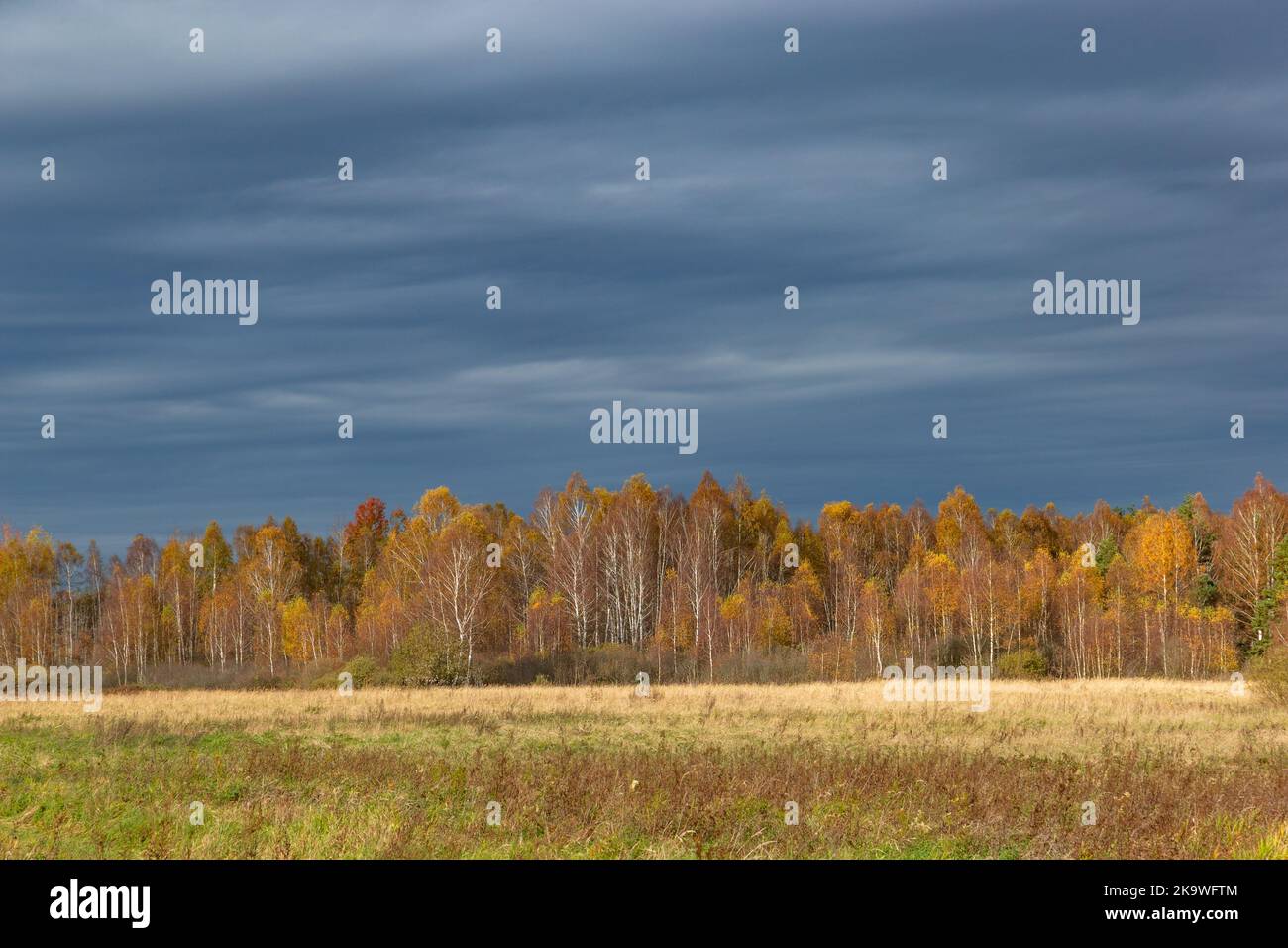 Fields and forests in cloudy, autumn weather. Late fall. Europe Stock ...